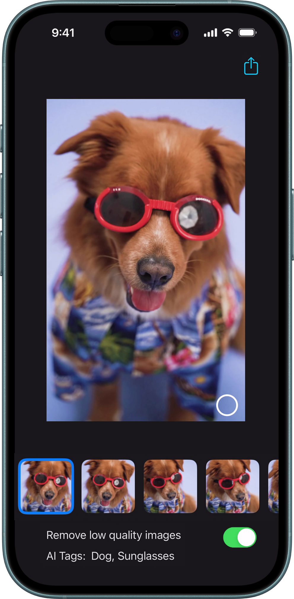 Video to Photo App - Turn Any Video into Perfect Photos | AI Frame Grabber